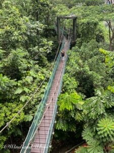Should You Visit Kuala Lumpur? An Honest Review - Wind And Whim